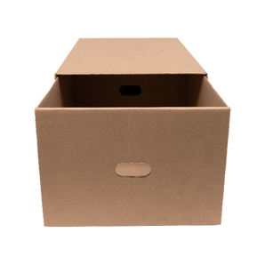 RecordXpress - Safeguarding Canada's Information Journey